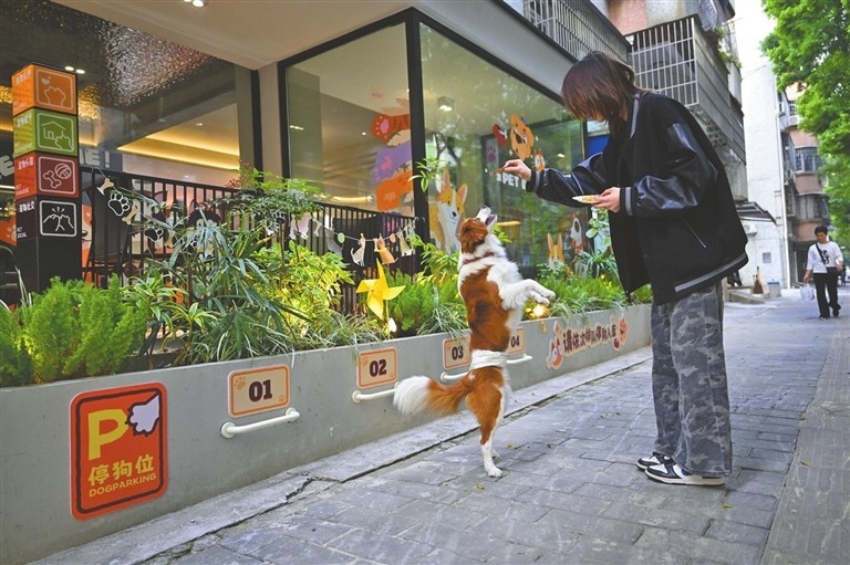 The Official Website Of ZhongShan China